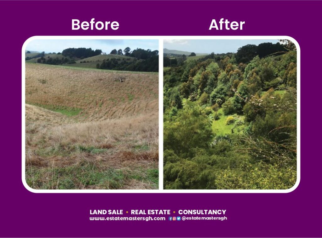 Buy lands in Ghana- Real Estate in Ghana-Estate Masters. We are your ...
