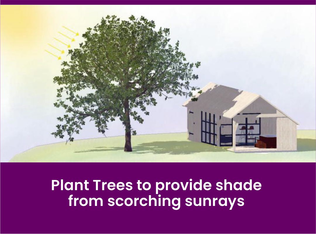 Energy-Efficient Landscaping - Estate Masters