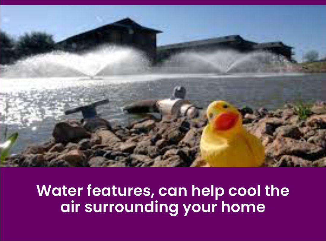 Energy-Efficient Landscaping - Estate Masters